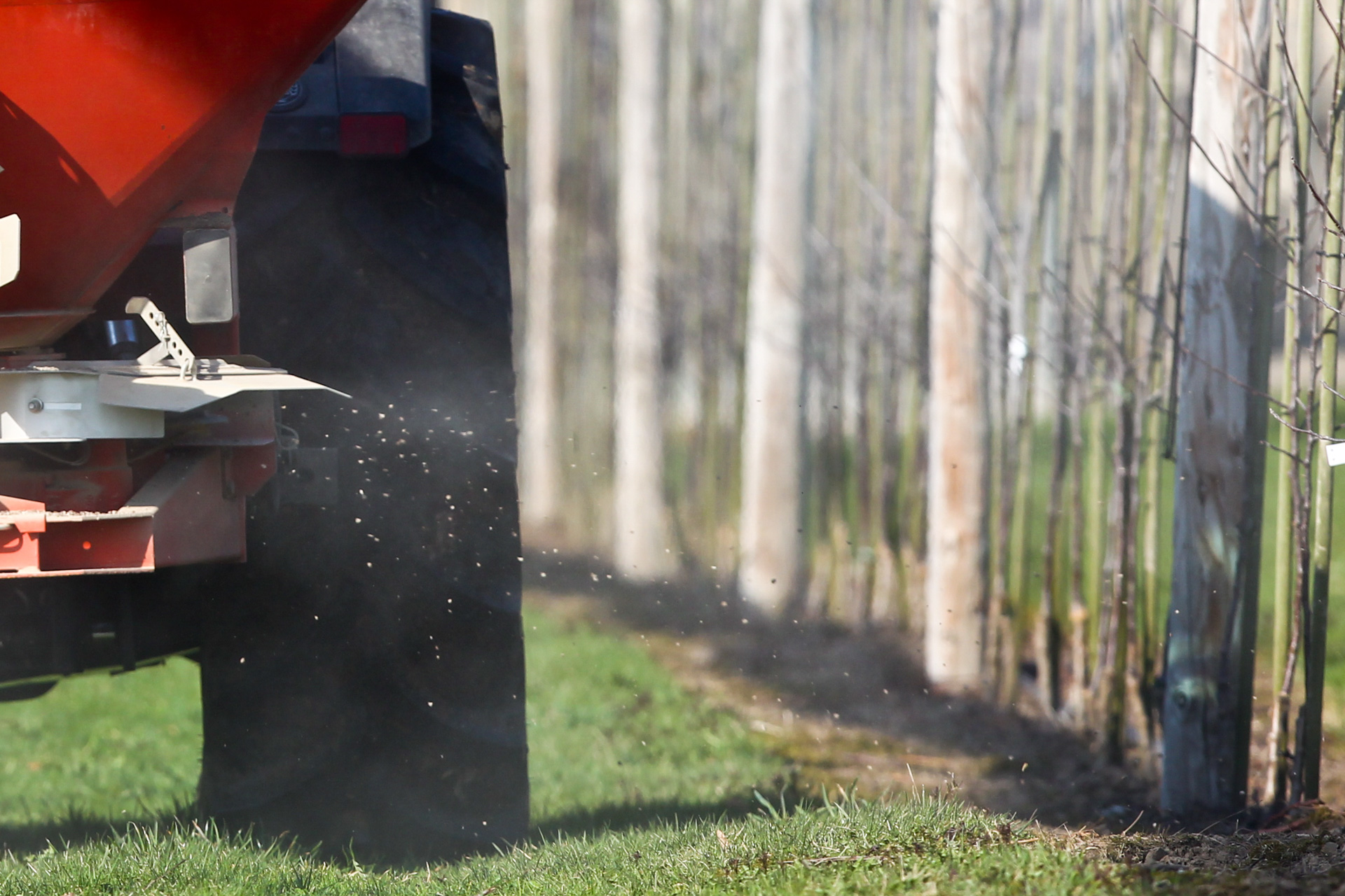 Tree Fertilization - NW Landscape Service